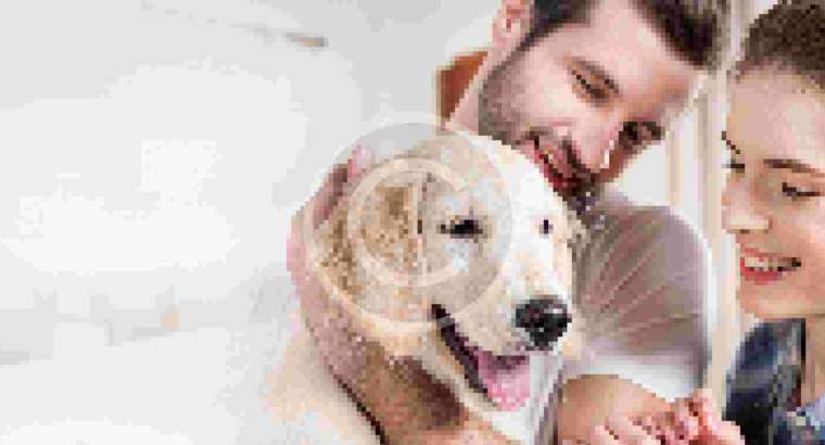 slide3 – Bel-Rea Institute of Animal Technology