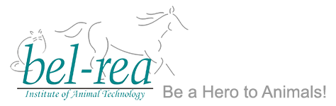Bel-Rea-Logo-New – Bel-Rea Institute of Animal Technology