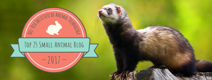 The Top 25 Small Animal Bloggers – Bel-Rea Institute of Animal Technology