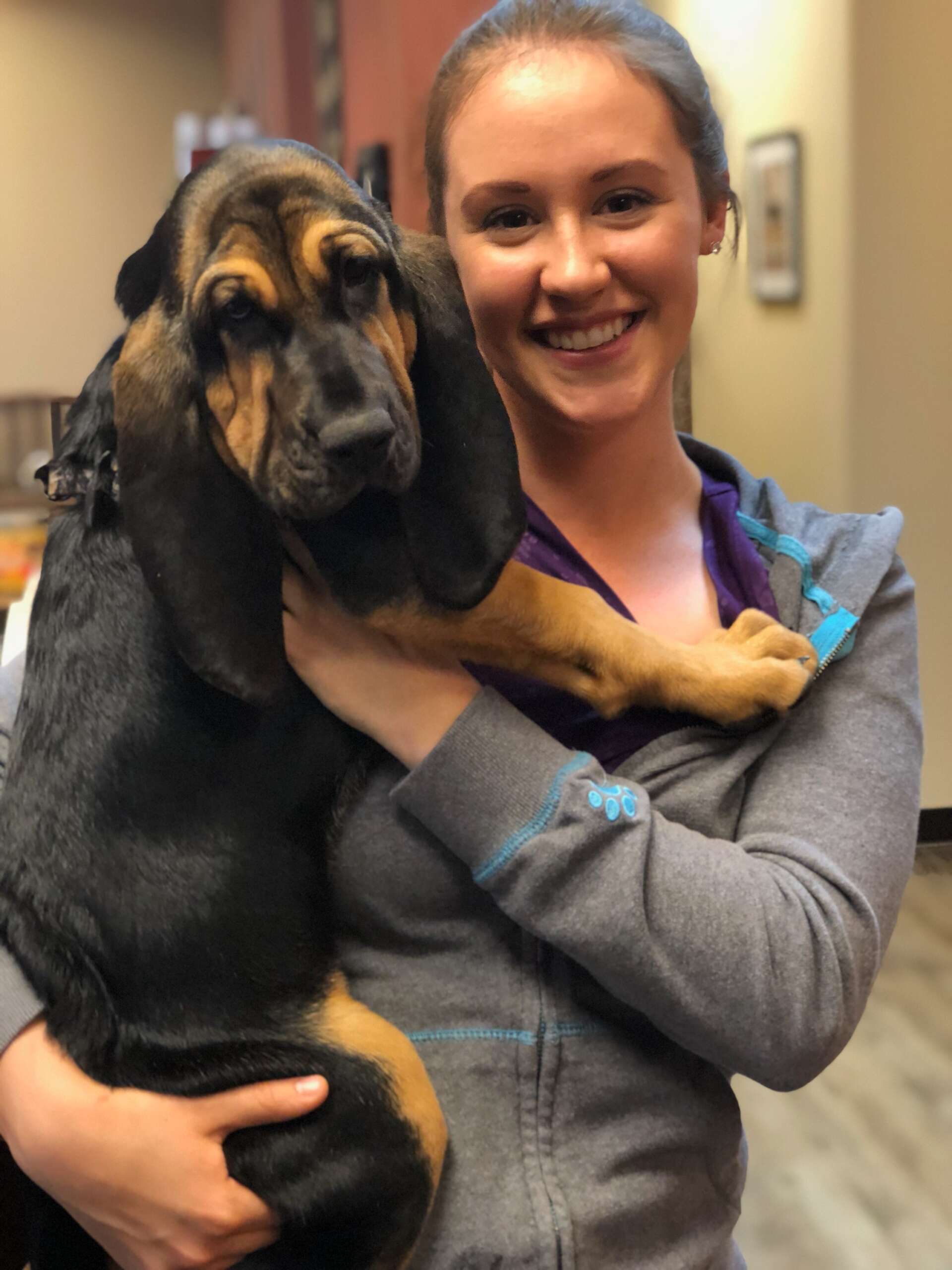 High Plains Veterinary Hospital – Bel-Rea Institute of Animal Technology