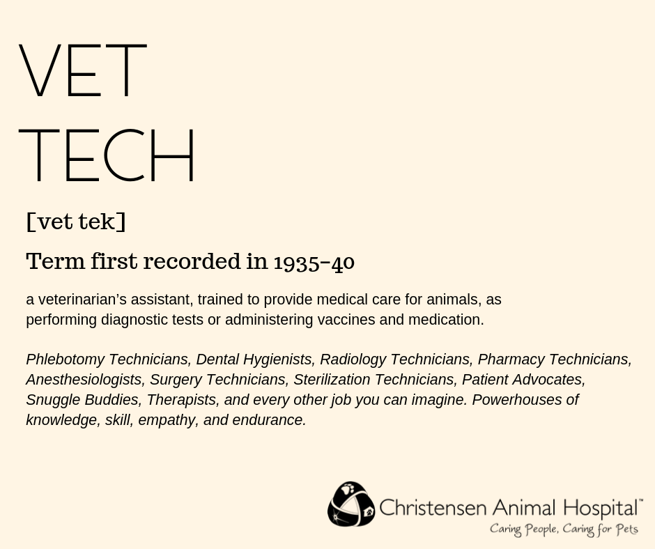 Christensen Animal Hospital – Bel-Rea Institute of Animal Technology