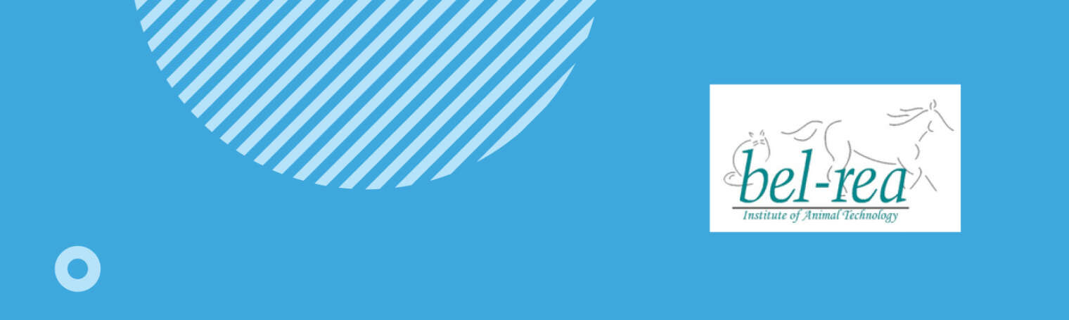 Cushing’s and Addison’s Disease: All you need to know – Bel-Rea ...