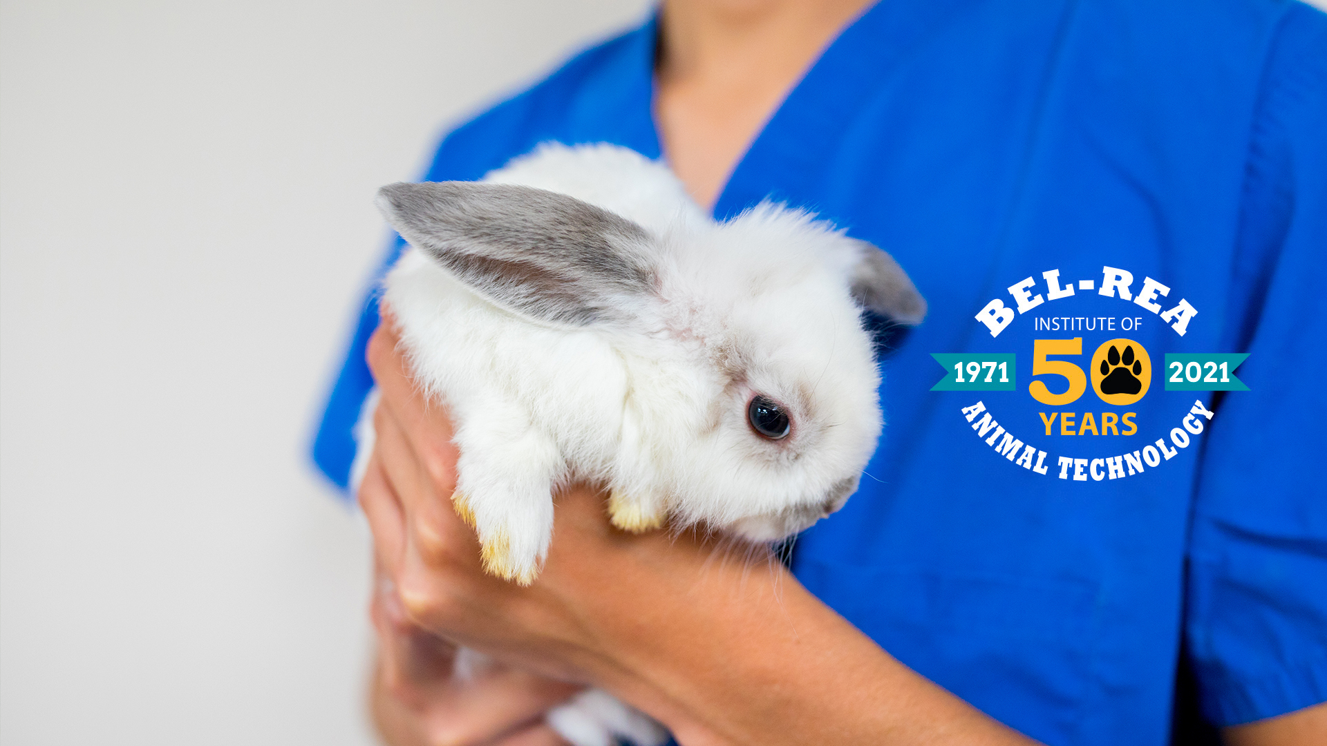 Bel-Rea Institute of Animal Technology – Veterinary Technician Training