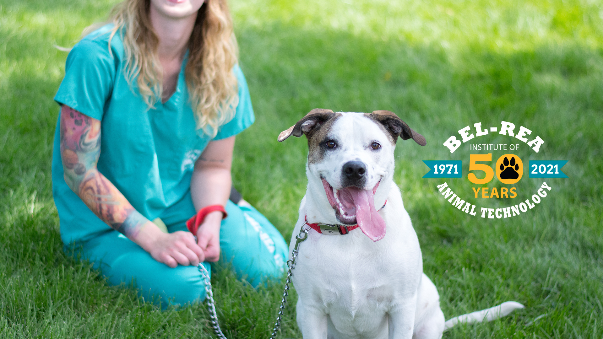 Bel-Rea Institute of Animal Technology – Veterinary Technician Training