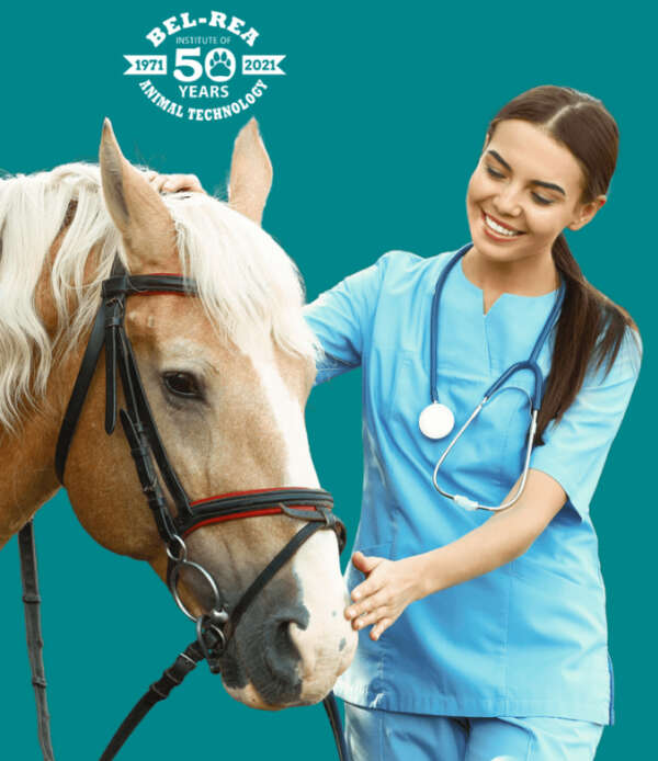 How to Apply – Bel-Rea Institute of Animal Technology