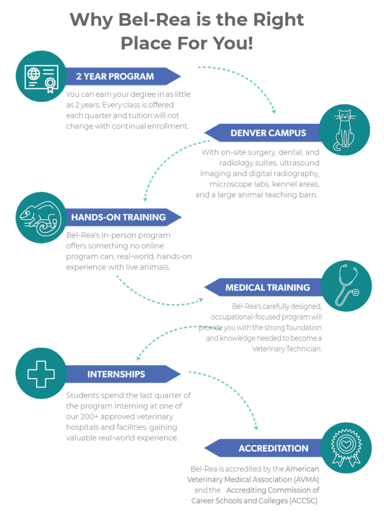 How to Apply – Bel-Rea Institute of Animal Technology