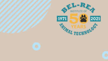 Bel-Rea Institute of Animal Technology – Veterinary Technician Training