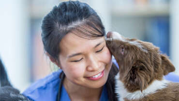 Bel-Rea Institute of Animal Technology – Veterinary Technician Training