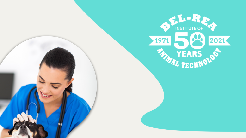 Anesthetic Considerations for Dentistry Patients with Co-Existing ...