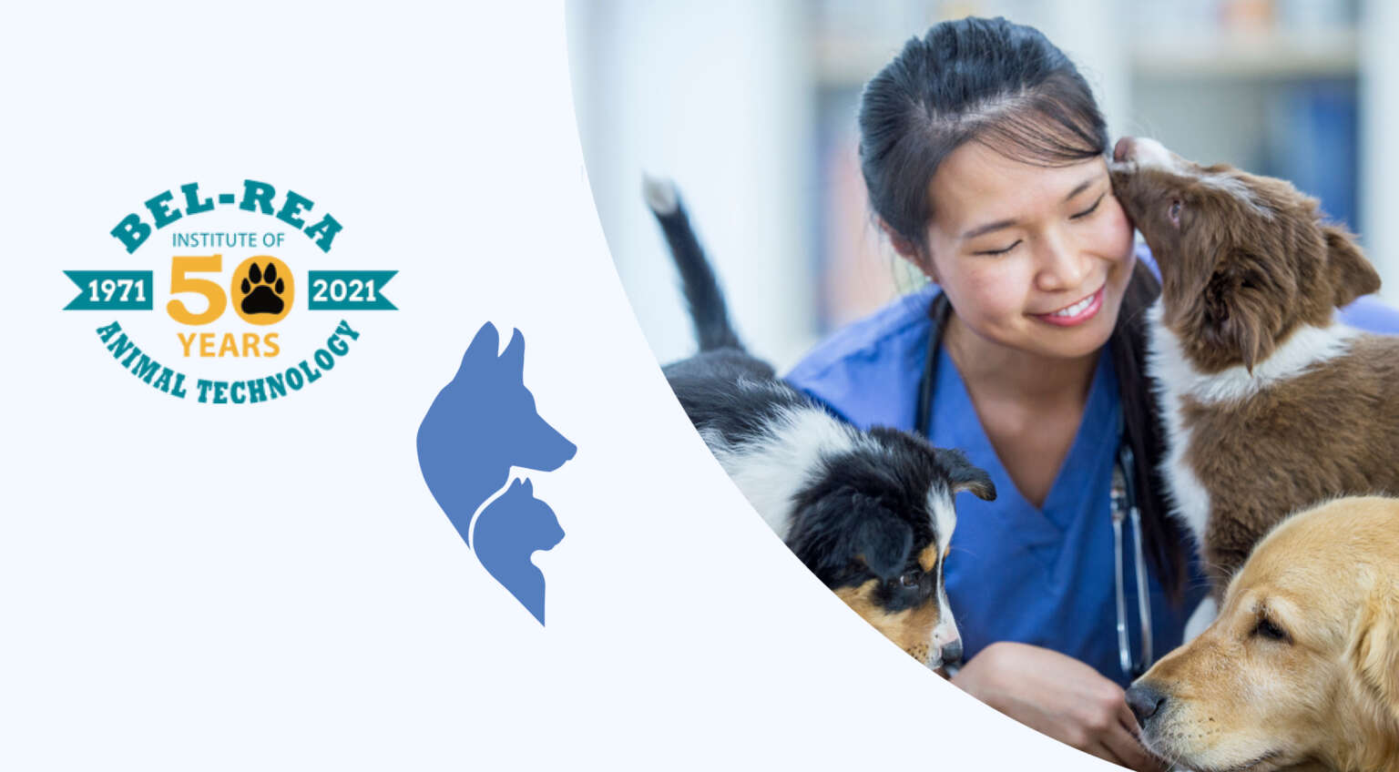 A Technician’s Role in the Ophthalmic Exam – Bel-Rea Institute of Animal Technology