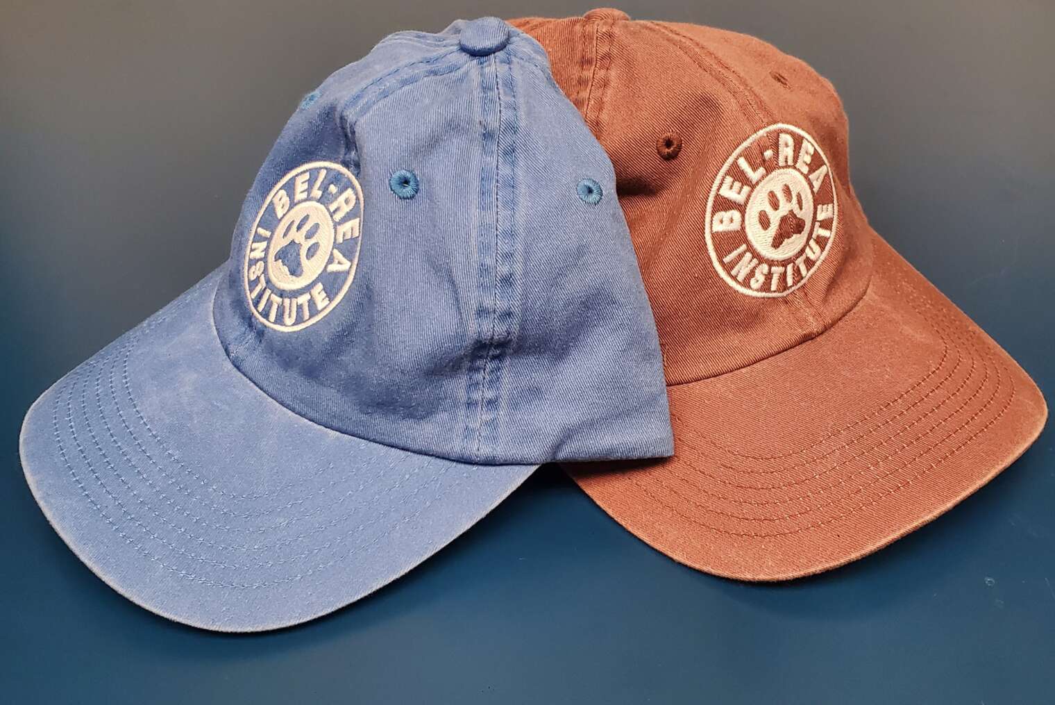Circle Paw Baseball Cap – Bel-Rea Institute of Animal Technology
