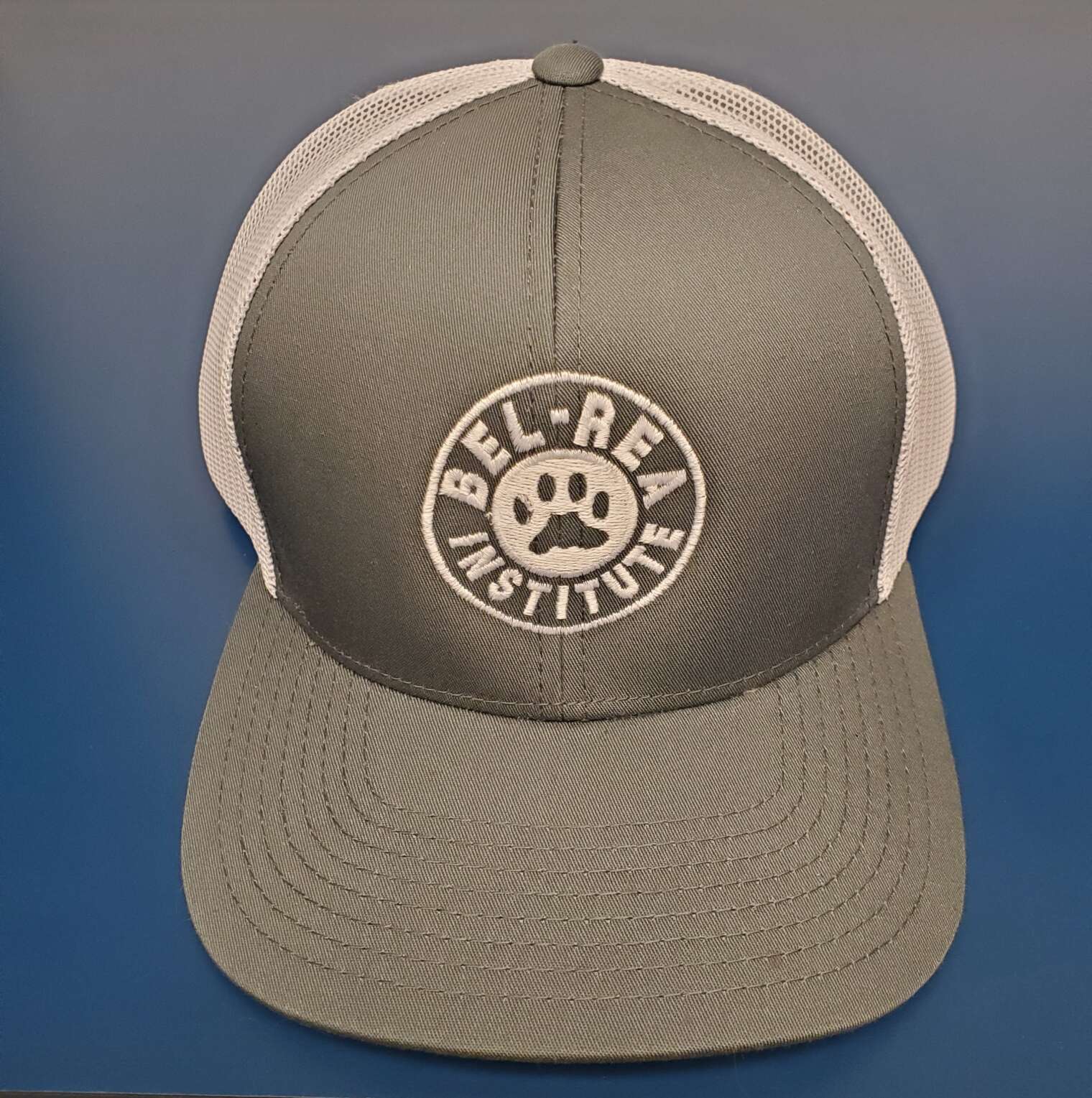 Mesh Circle Paw Baseball Cap (Heather/Graphite) – Bel-Rea Institute of ...