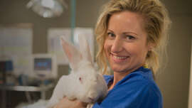 Bel-Rea Institute of Animal Technology – Veterinary Technician Training