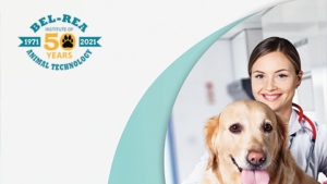 Bel-Rea Institute of Animal Technology – Veterinary Technician Training