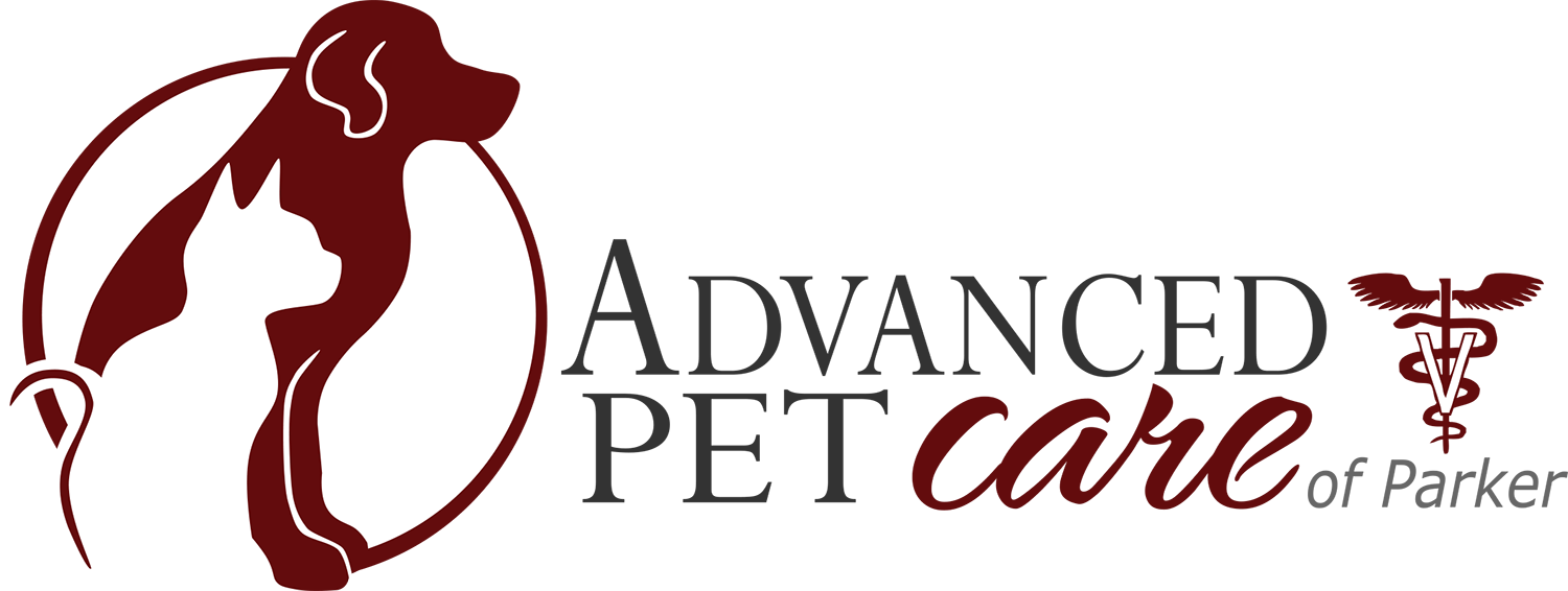 Advanced Pet care of Parker – Bel-Rea Institute of Animal Technology