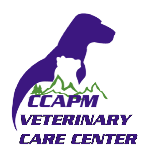 CCAPM Veterinary Care Center – Bel-Rea Institute of Animal Technology