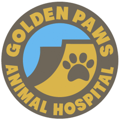 Golden Paws Animal Hospital – Bel-Rea Institute of Animal Technology
