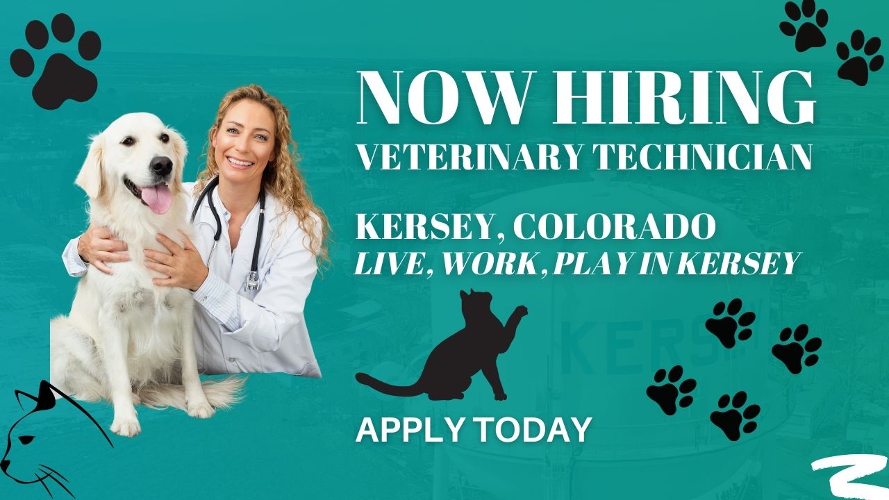 Powell Veterinary Service – Bel-Rea Institute of Animal Technology